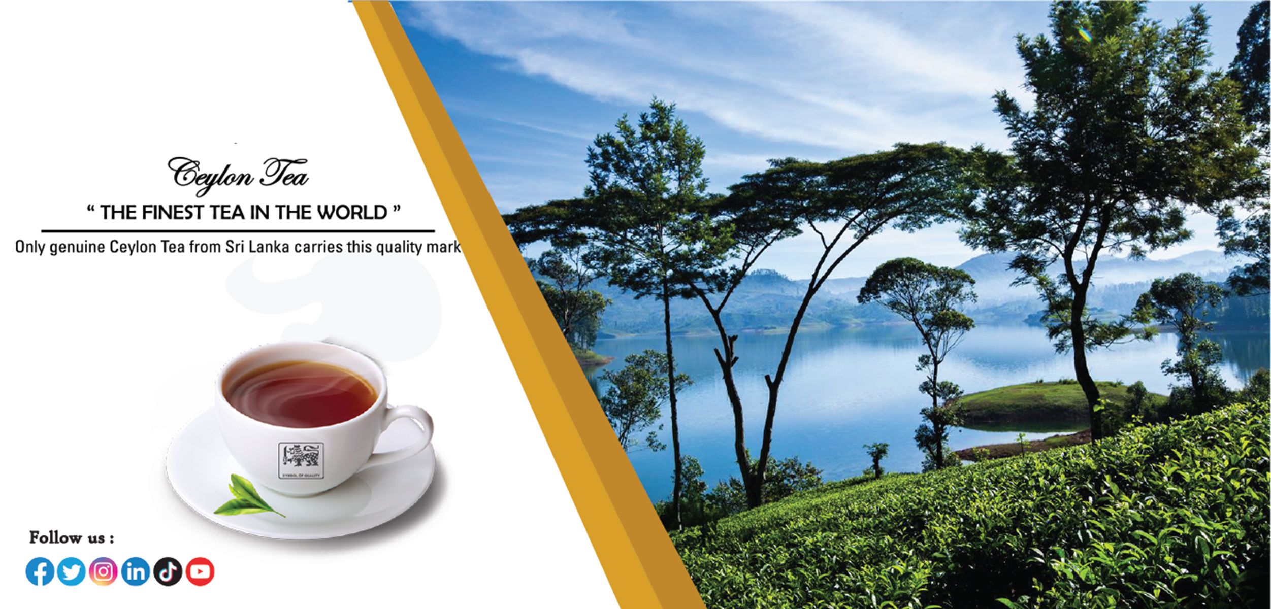 Sri Lanka Tea Board | Official Web Site