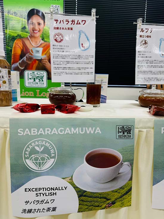 "Afternoon Tea" Renewed for the First Time in Six Years - Showcasing ...