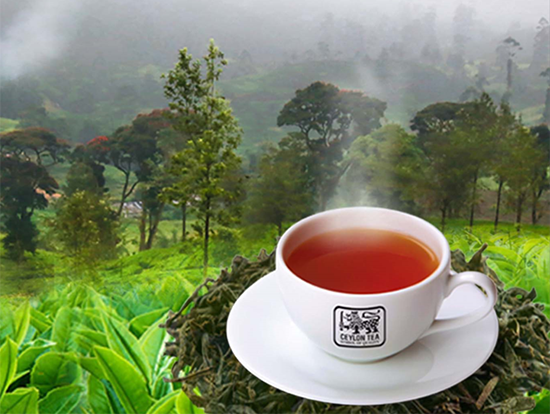 Ceylon Tea sets global standards in Sri Lanka | Sri Lanka Tea Board